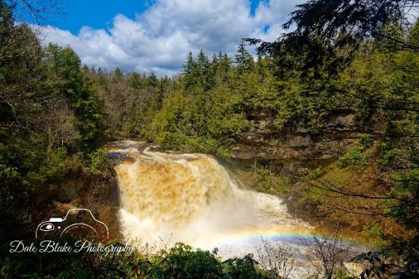 Dale Blake Photography